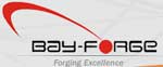 Bay Forge expands despite bleak times | Domain-b.com