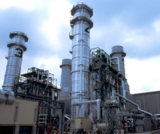 Malaysian magnate offers to buy power firm Tanjong for $1.5 billion ...