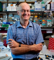 Protein that boosts longevity may protect against diabetes | Domain-b.com